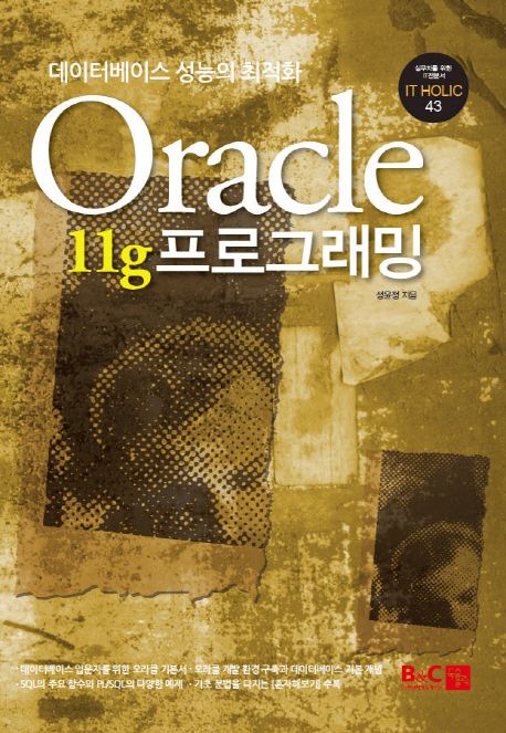 Oracle 11g 프로그래밍 데이터베이스 성능의 최적화 플라이북