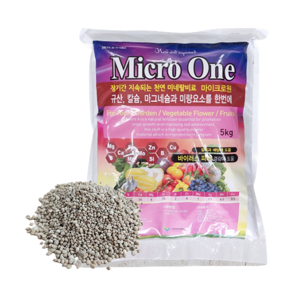 텃밭 농사 맛있고 속노란 김장배추 가을배추 씨앗 종류 추천 파종시기 종자 모종 심는시기 육묘시기 청방배추 씨앗 추천 네이버 블로그